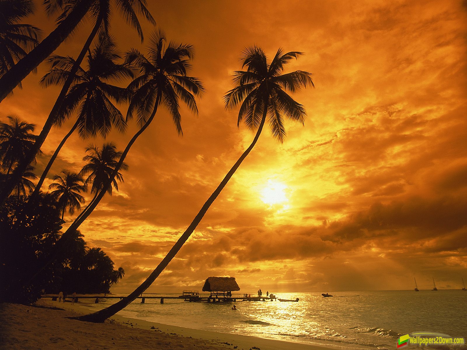 image wallpapers: wallpapers