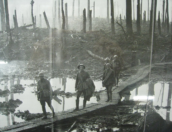 Iron Rations: WW1. Delville Wood, and things that go 'Bump' in the night.