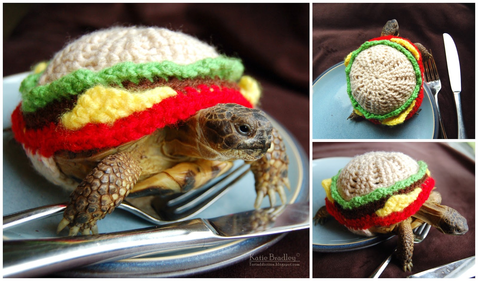Tortaddiction: New tortoise cozy design: The Cheeseburger Tortoise!!!