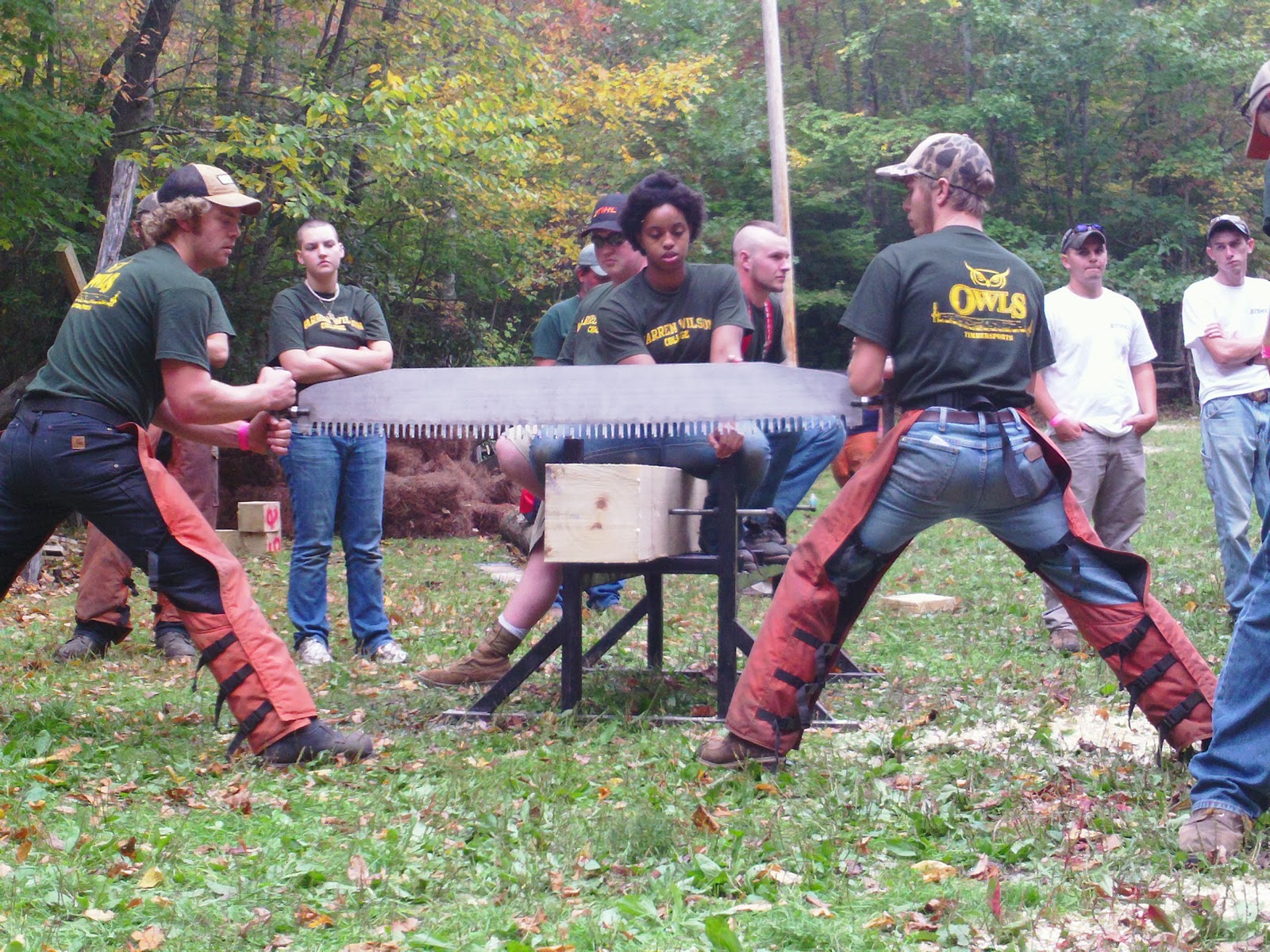 Competition Crosscut Saw | atelier-yuwa.ciao.jp