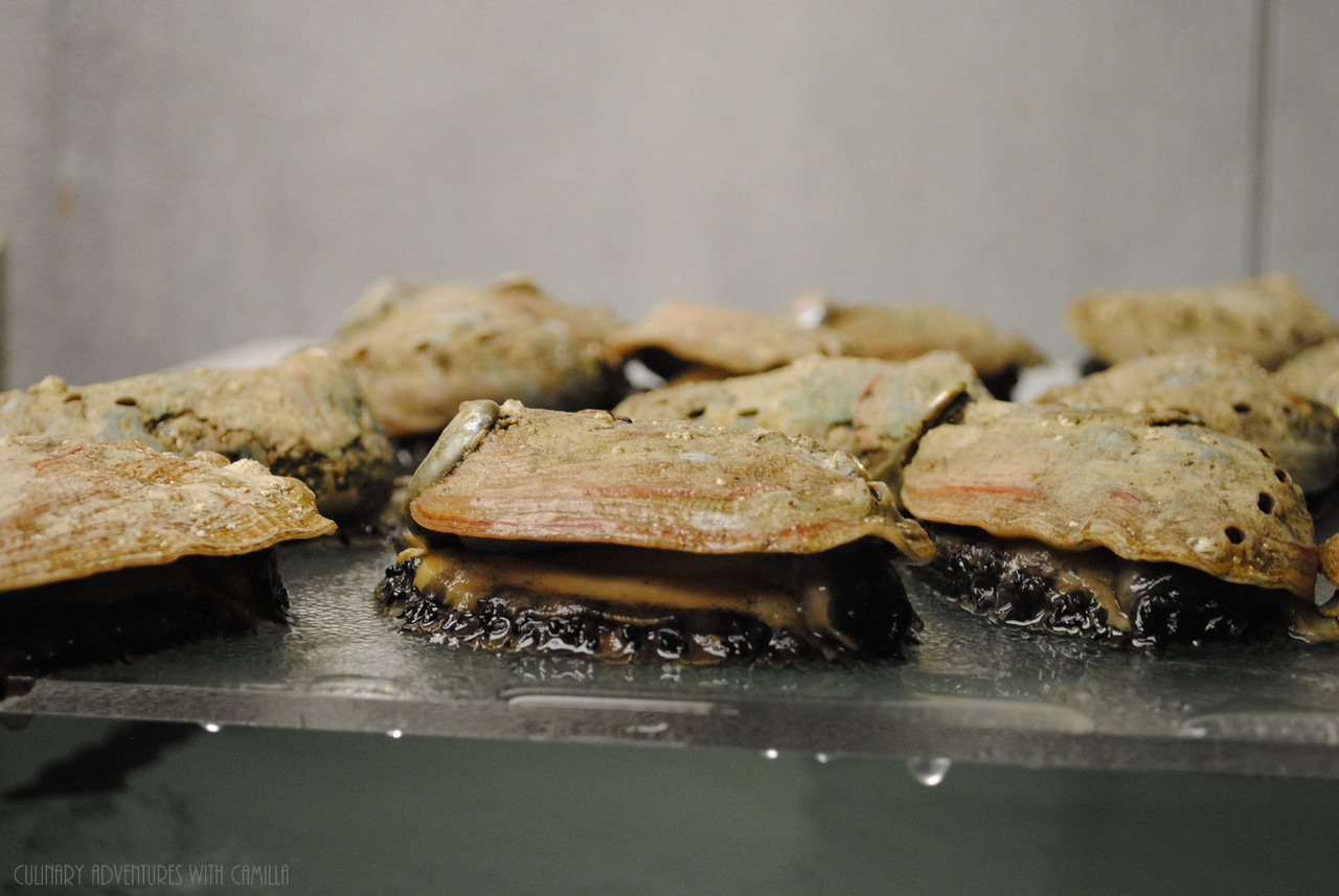 Abalone: Out of the Shell and Into the Pan #FishFridayFoodies
