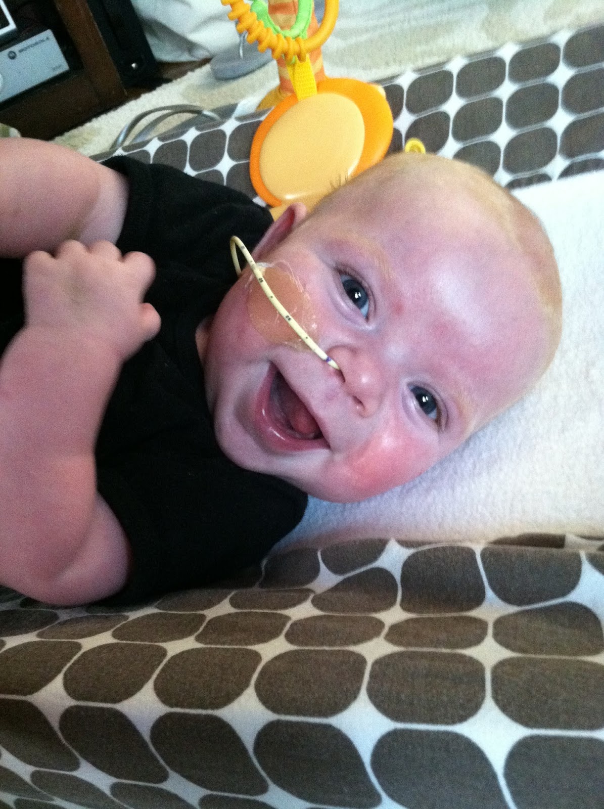 Hayden's Heart: Glenn head