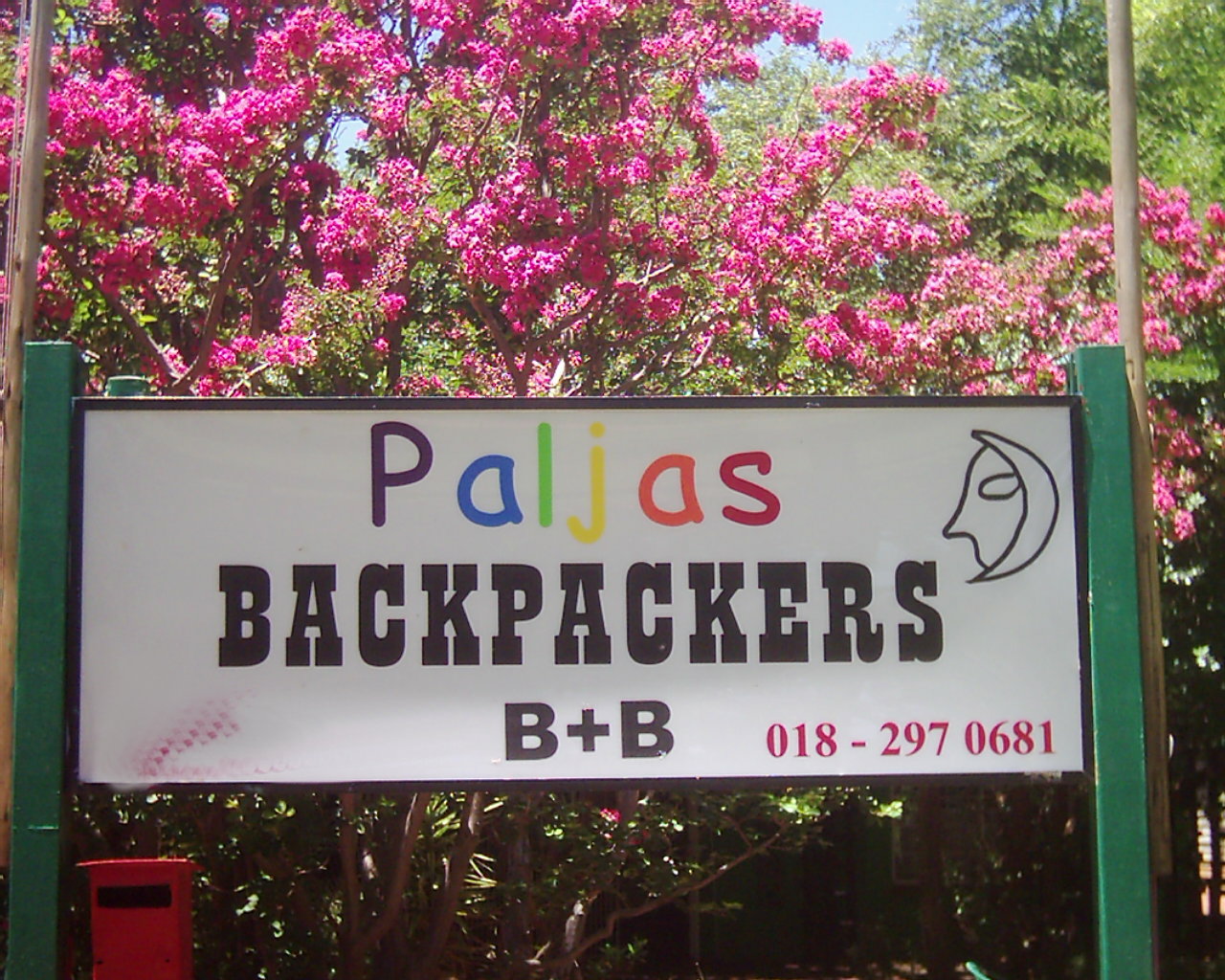 Paljas Backpackers & Guesthouse: Paljas Backpackers November 2012