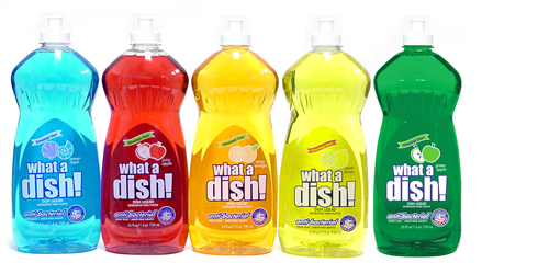 English 1080 Introductions: A Day Cleaning Dishes