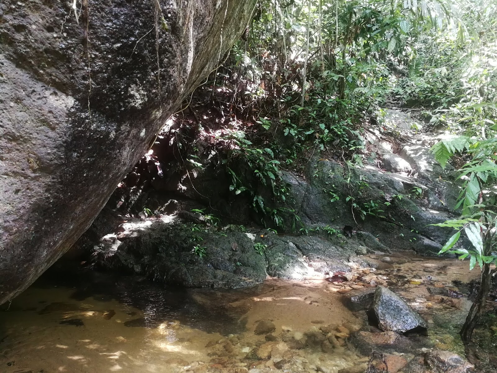 Hiking and Stuff: Gunung Liang (East and West)