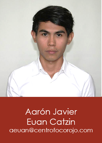 Lic. en Psic. Aarón Javier Euan Catzin