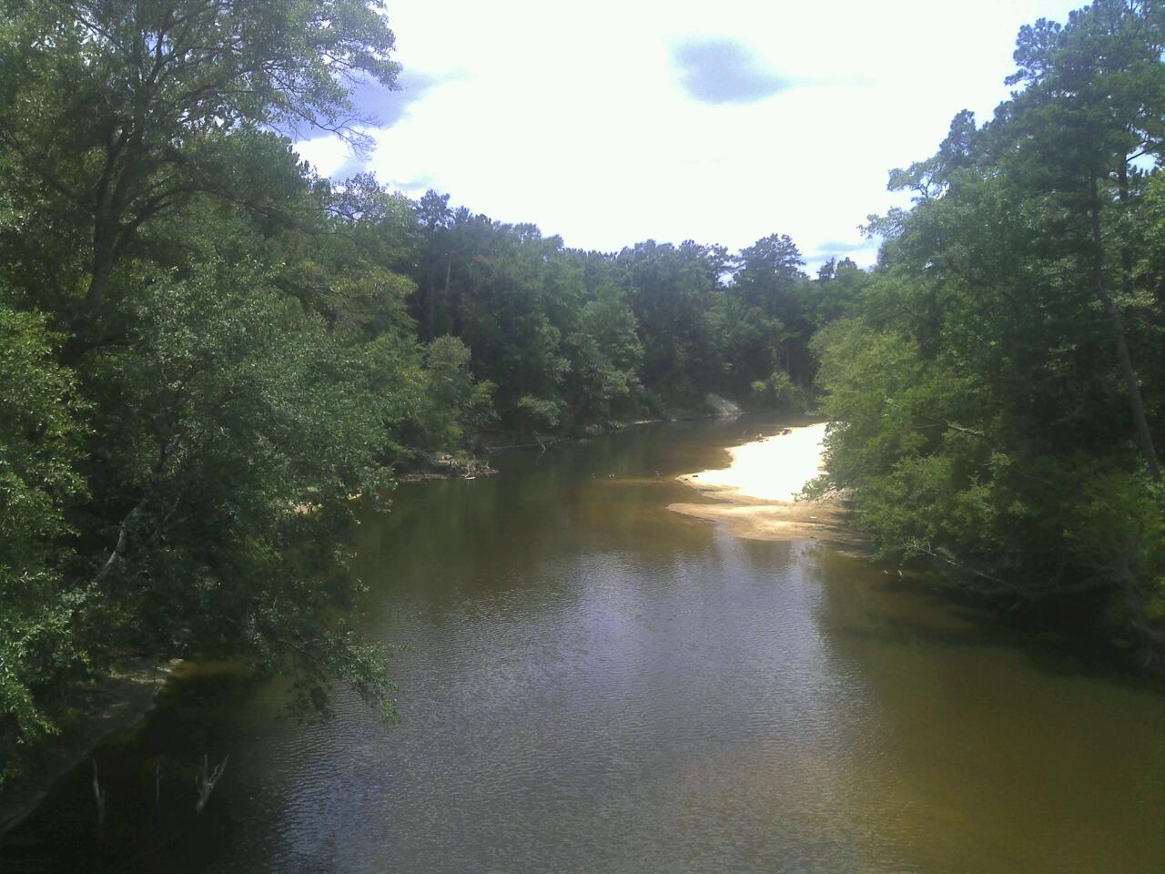 SEATTLE TO JACKSONVILLE BY BIKE: Day 62 - Swamp Home Alabama