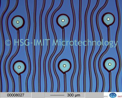 Microscope World Blog: Fluid Channel under Microscope