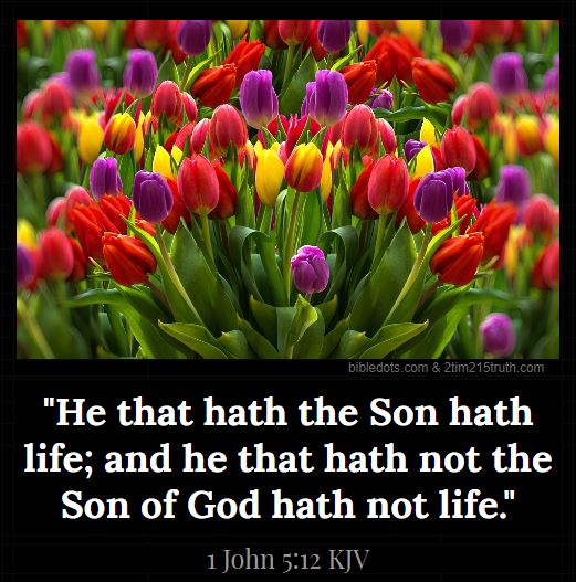 2-timothy-2-15-truth-verse-of-the-day-1-john-5-12-kjv