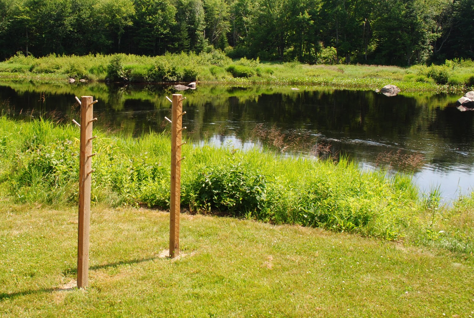 Field Notes and Photos: Beaver at the Cable Pool, Narraguagus River, Maine