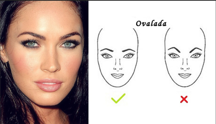 ESTRUCTURA DE LAS CEJAS.