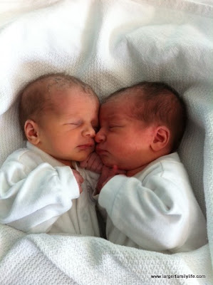 Our family has grown - meet the new additions | Larger Family Life