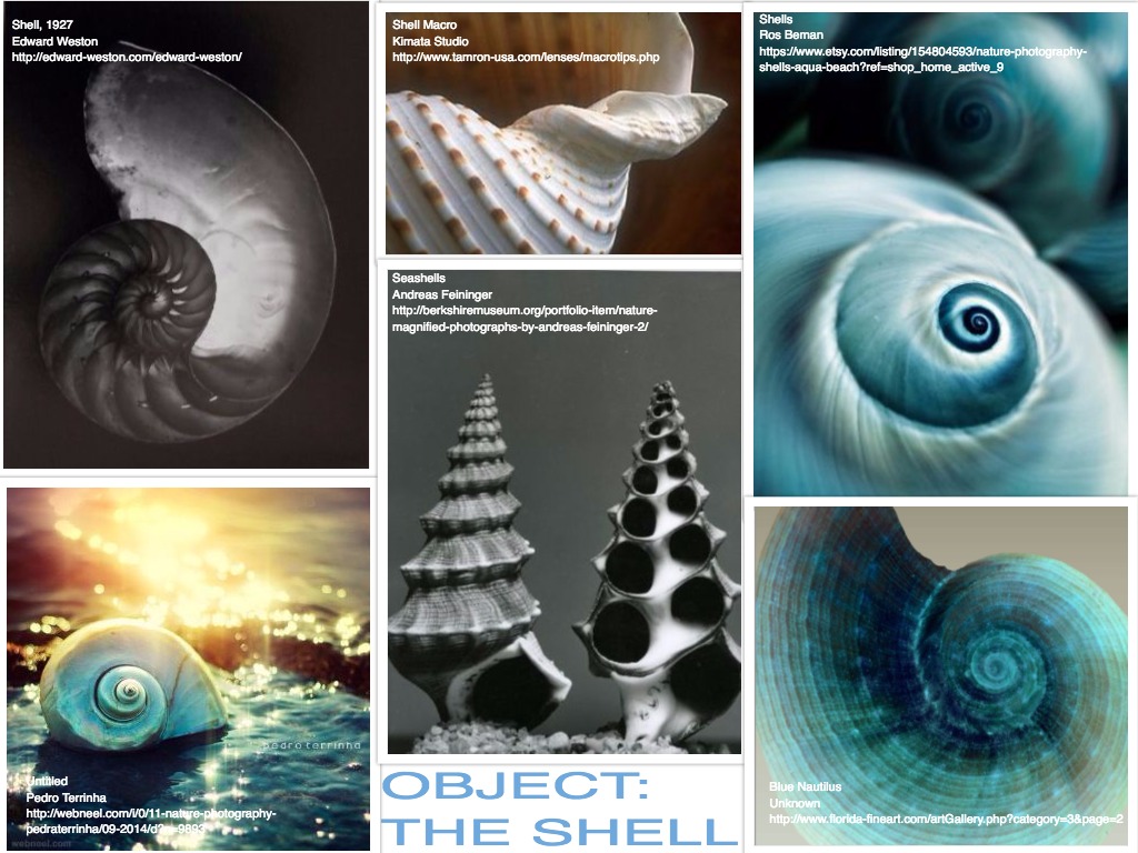 Skyline High School Digital Photography I: Journals 1-10