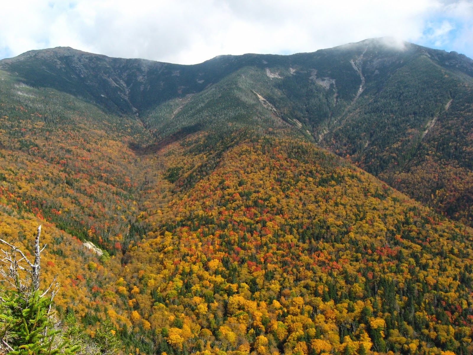 Hiking Shenandoah: Franconia Ridge