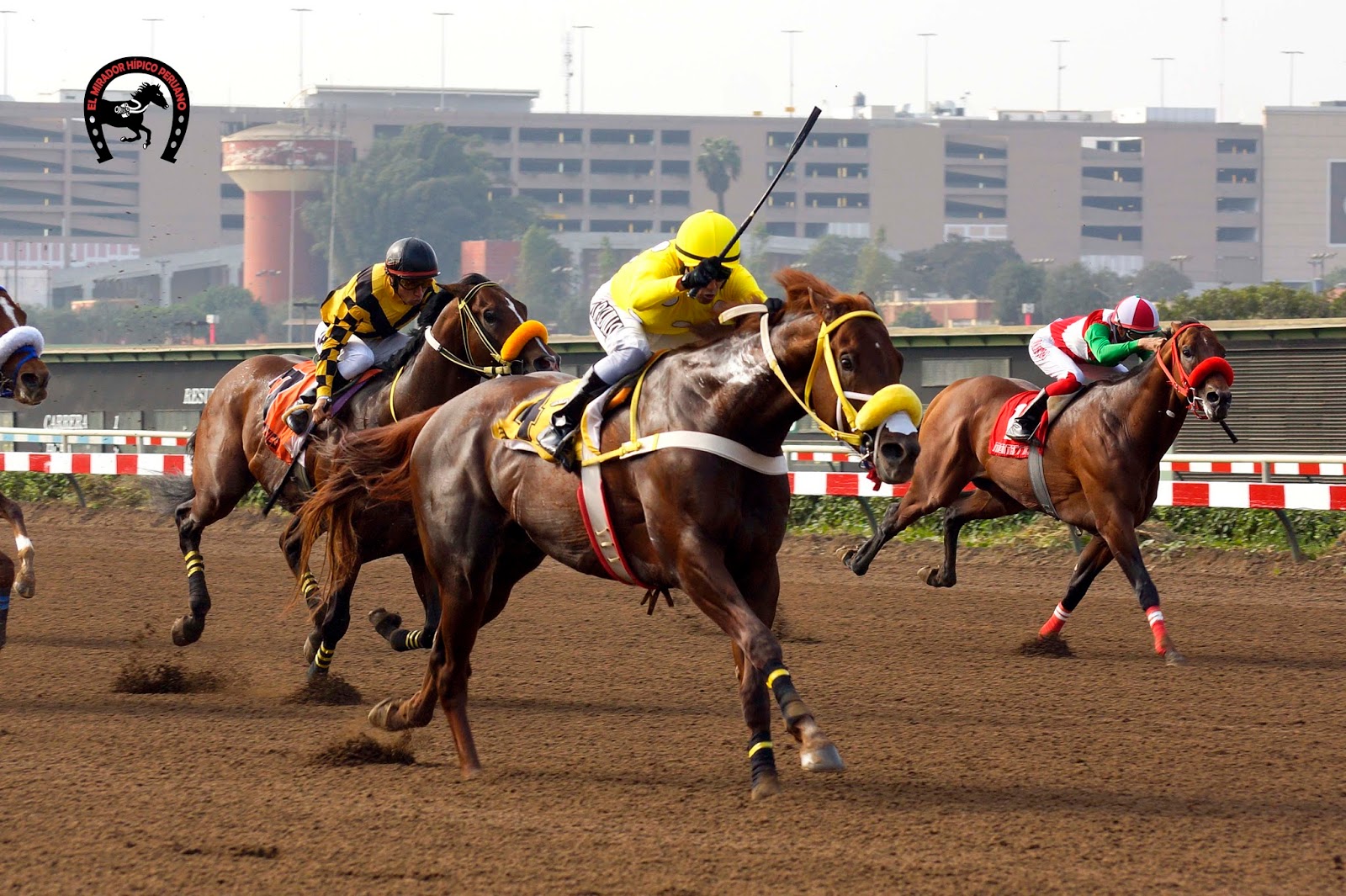 El Mirador Hípico Peruano: Grande Como Los Grandes Fue Gran Rojo