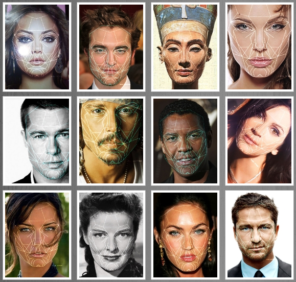 NYC COSMETIC SURGEONS TM: Does Ф PHI make a beautiful face?