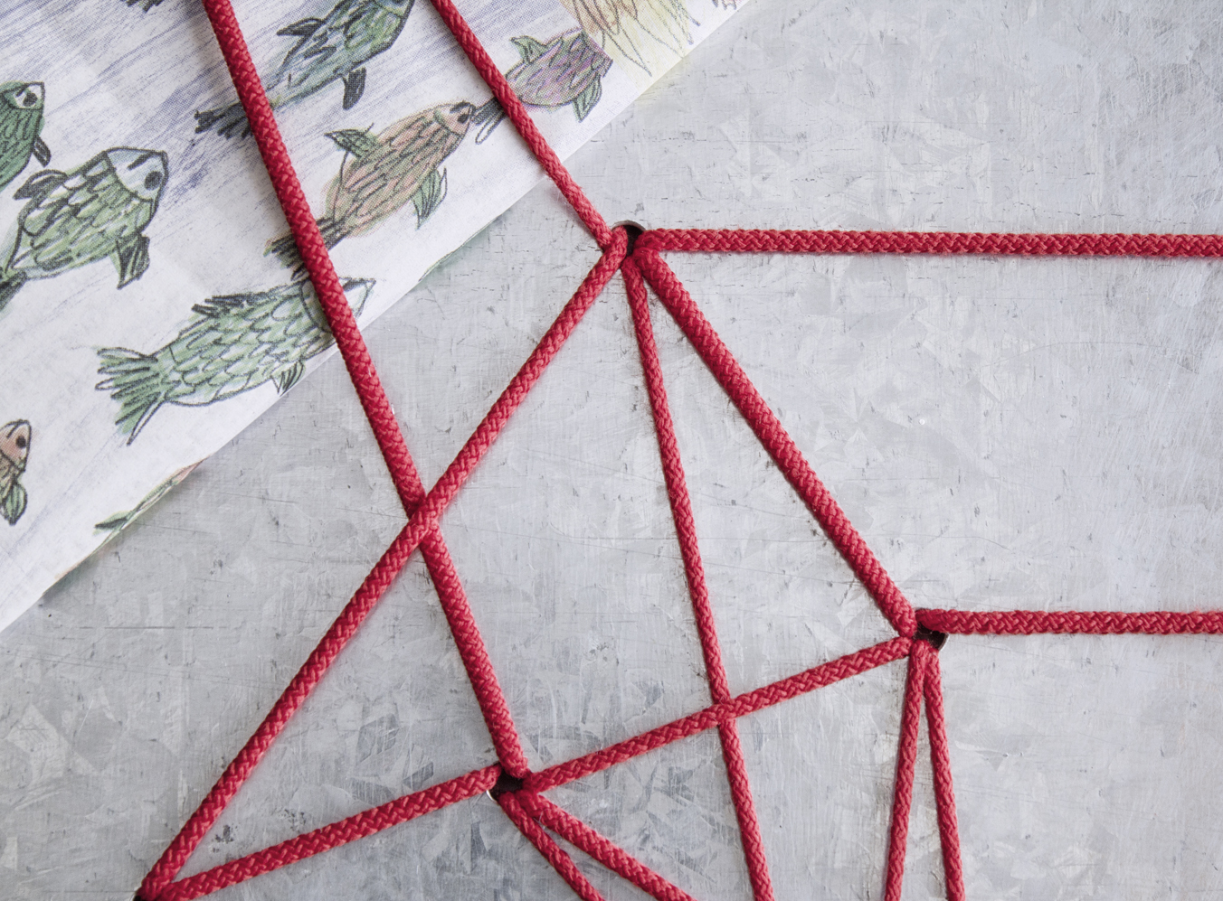 BONGO DESIGN |The love for nature expressed in geometry: Greedy FOX by ...