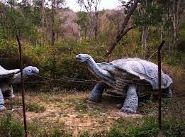 Tortuga atlas (Colossochelys atlas o Testudo atlas)