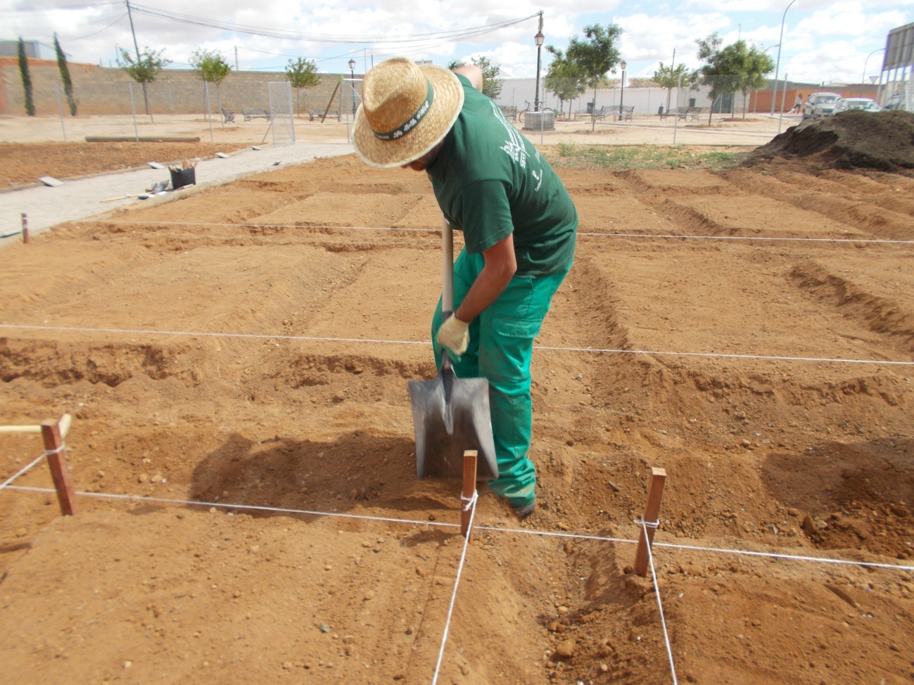 Hortus naturalis : Organización de parcelas