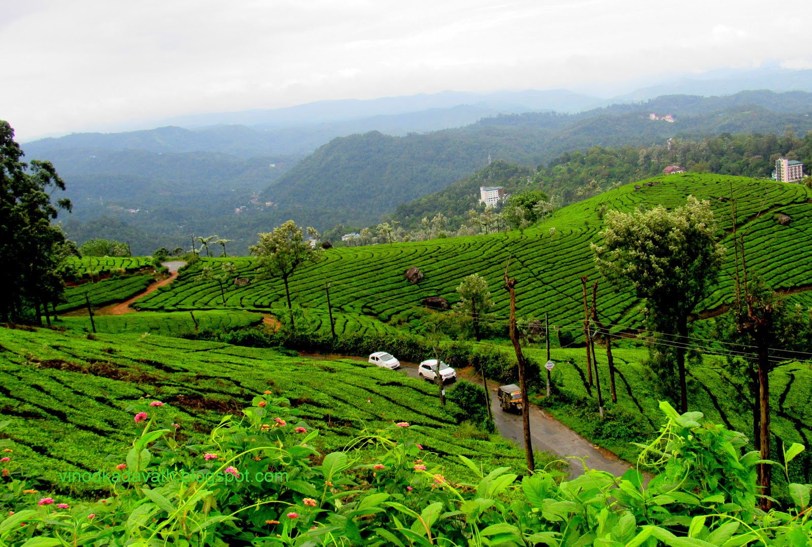 Road Trip to Munnar, Kerala