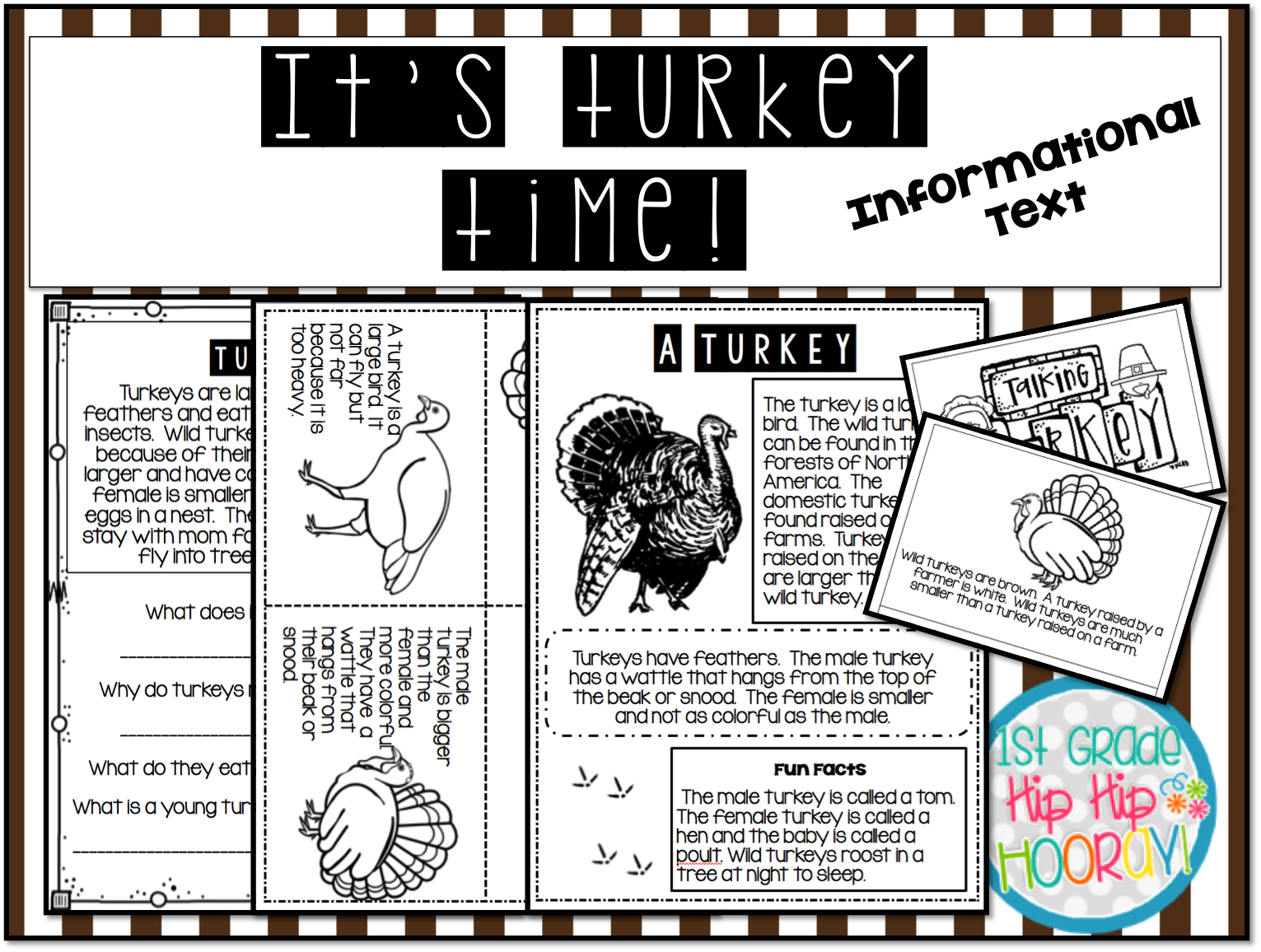 1st Grade Hip Hip Hooray!: It's Turkey Time So ... Let's Talk Turkey!