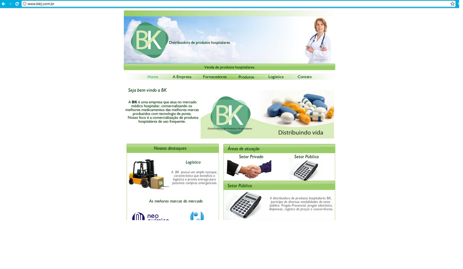 Bárbara Amorim Designer Gráfico: Cliente BK Distribuidora de produtos ...