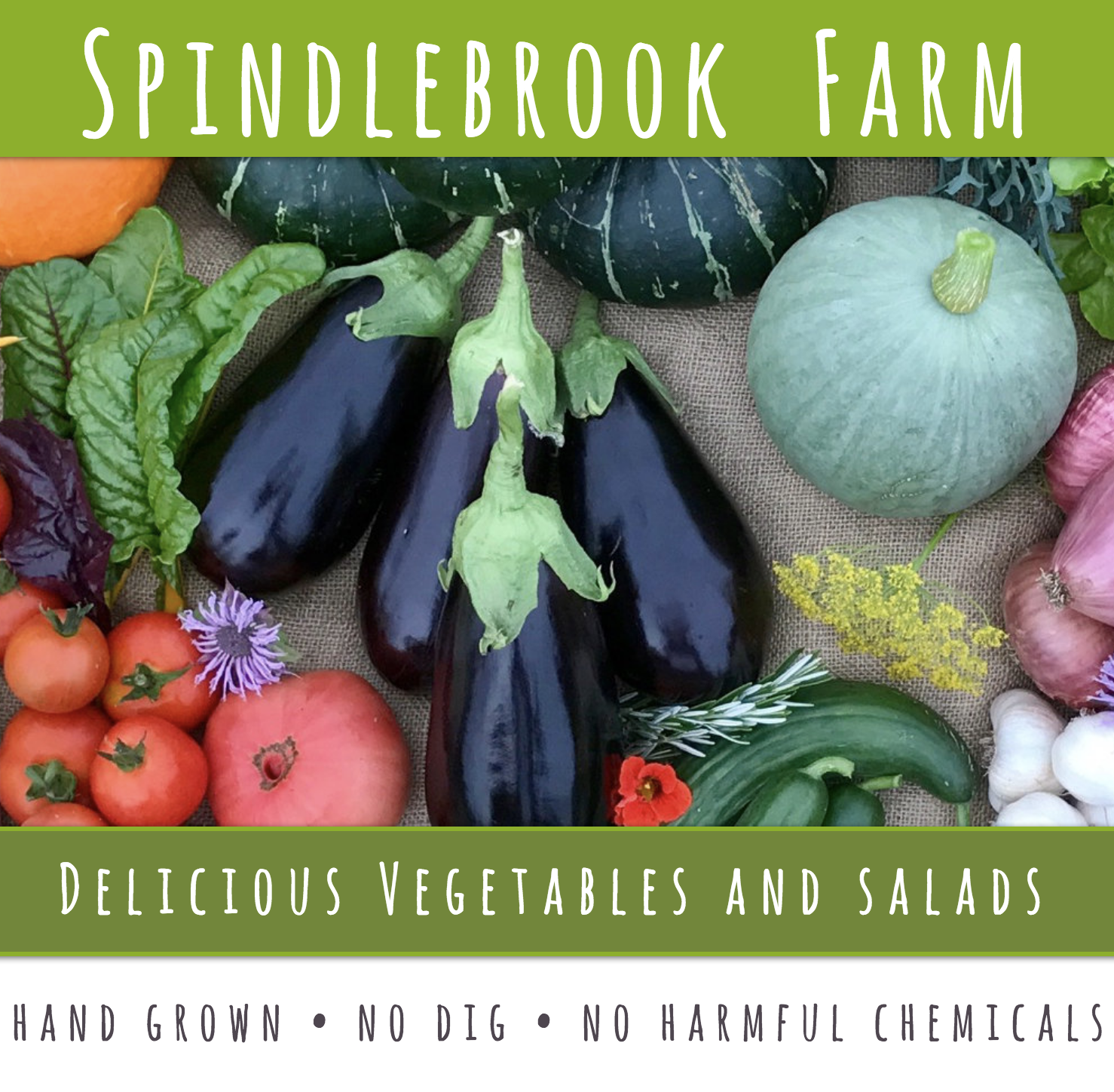 Spindlebrook • no-dig • Market Garden: Making a basket and Freedom Frog
