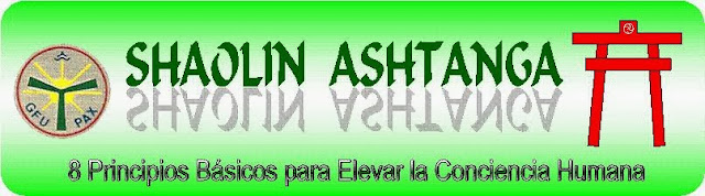 SHAOLIN SHEN CHUAN 小森林精神拳头