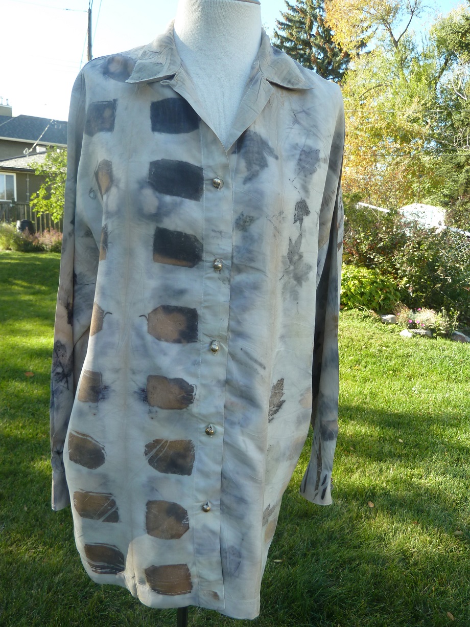 Donna Clement: Gallery