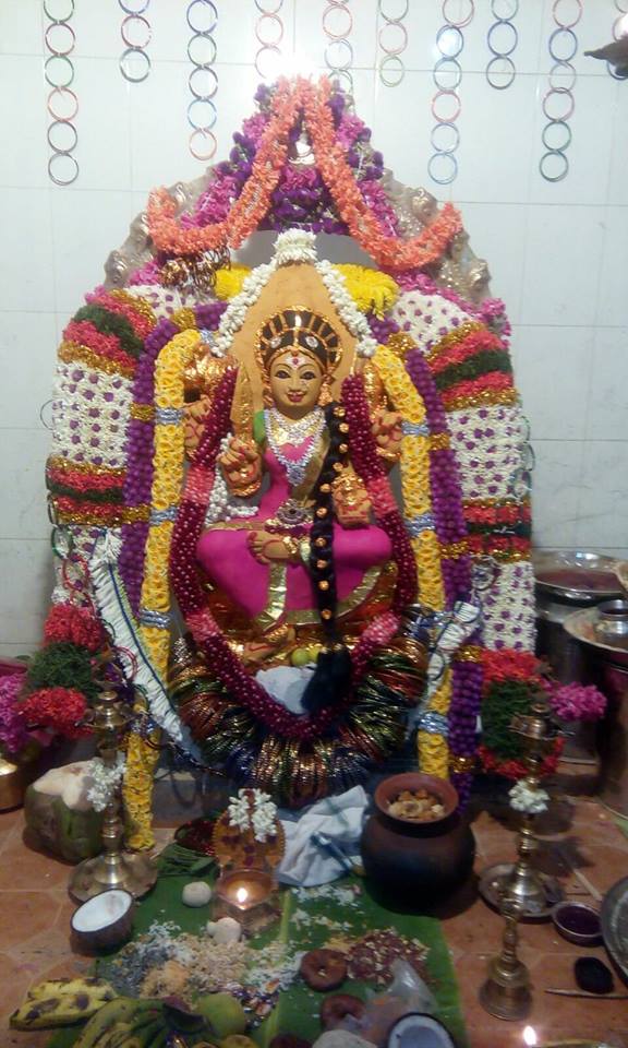 Gallery | Haibbus P Subbiah