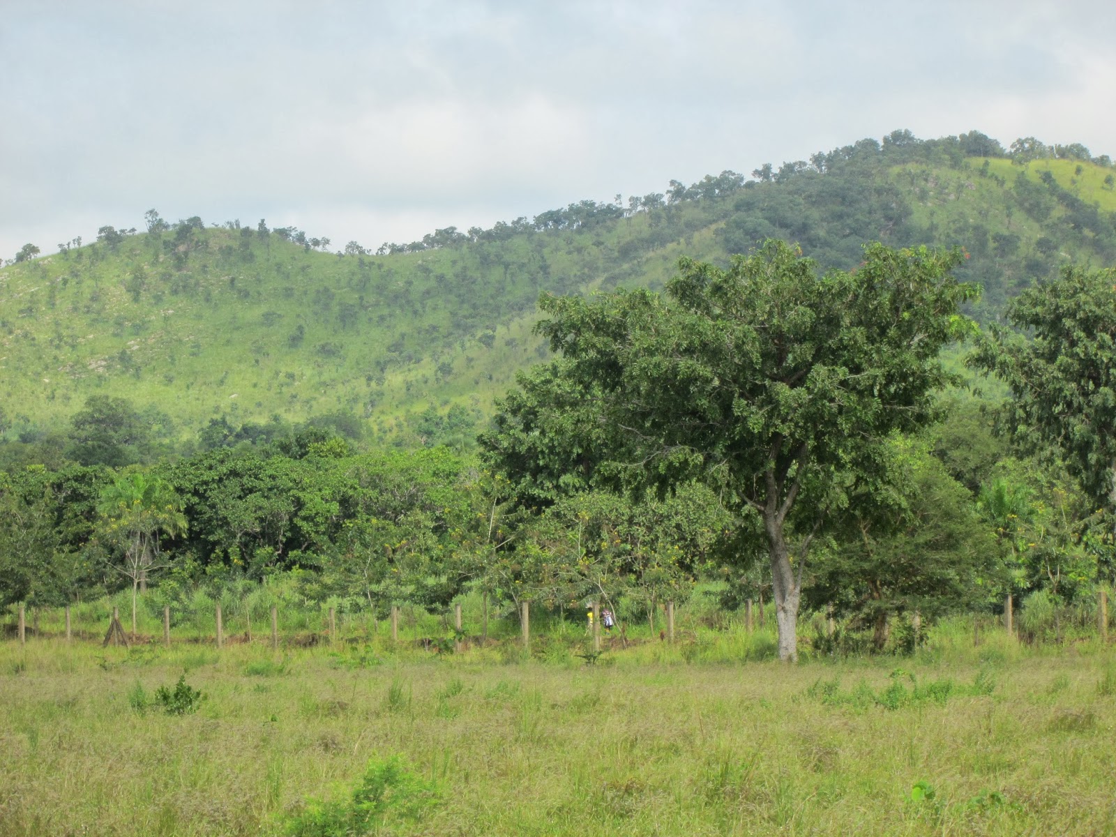 Onfroy-Curley au Togo: Parc animalier/Animal park Sarakawa