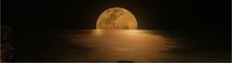 CHRISTO CARRERA: LULLABY SPRING BY DAMIEN HIRST