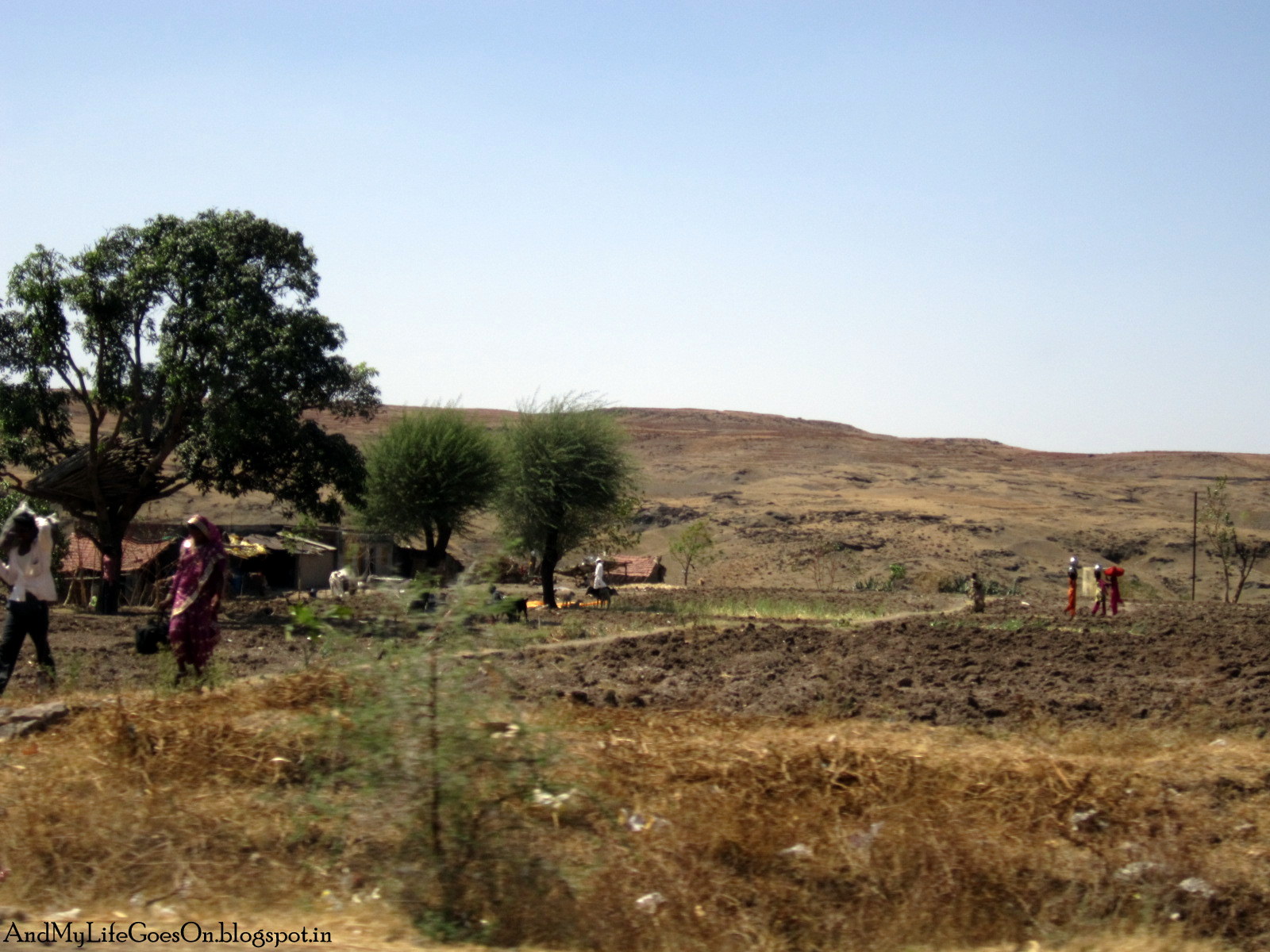 And my life goes on...: Road trip to Amalner.