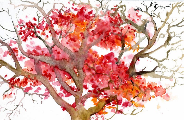 Barry's Lesson- Graphics