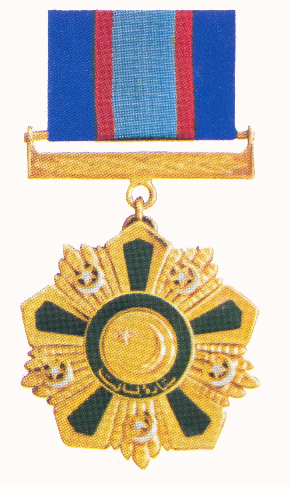 Sitara-i-Basalat Awarded to Shaheeds | Mard-e-Mujahid Website| Official