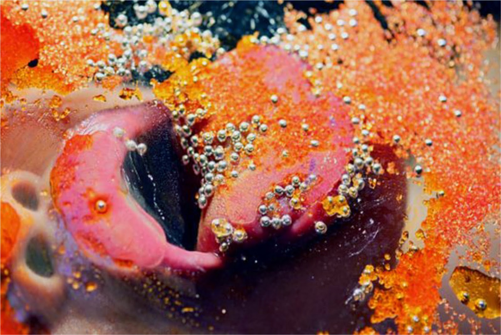 Marilyn Minter's Artwork