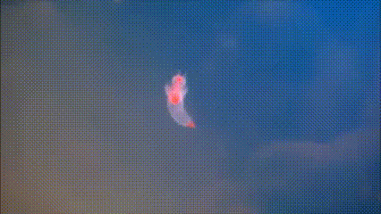 Trionix83: ANGEL DE MAR