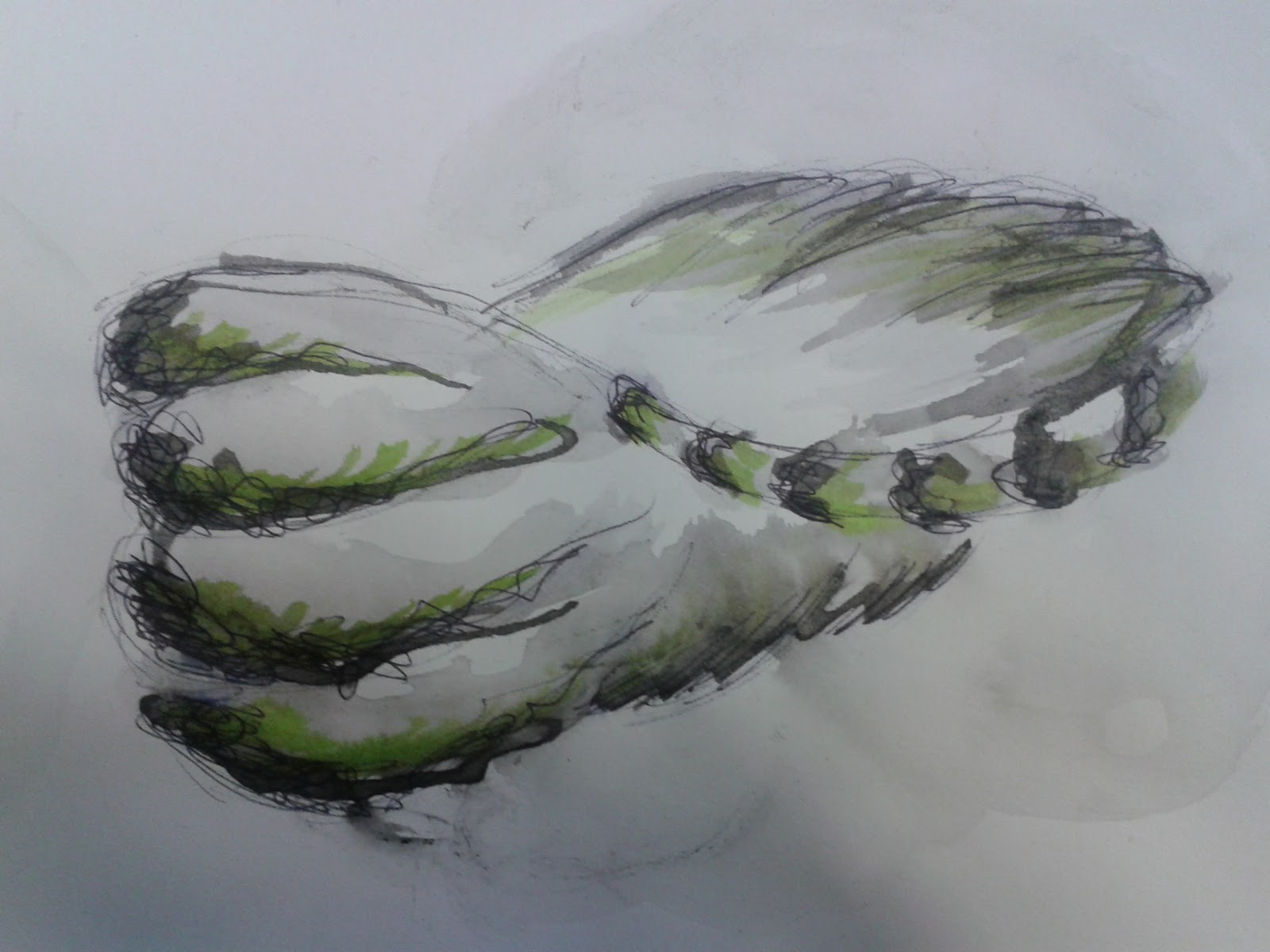 Art Portfolio: Drawing of shells with pen