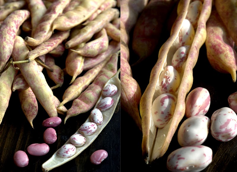 Squid and White Beans with Balamic Reduction - WILD GREENS & SARDINES