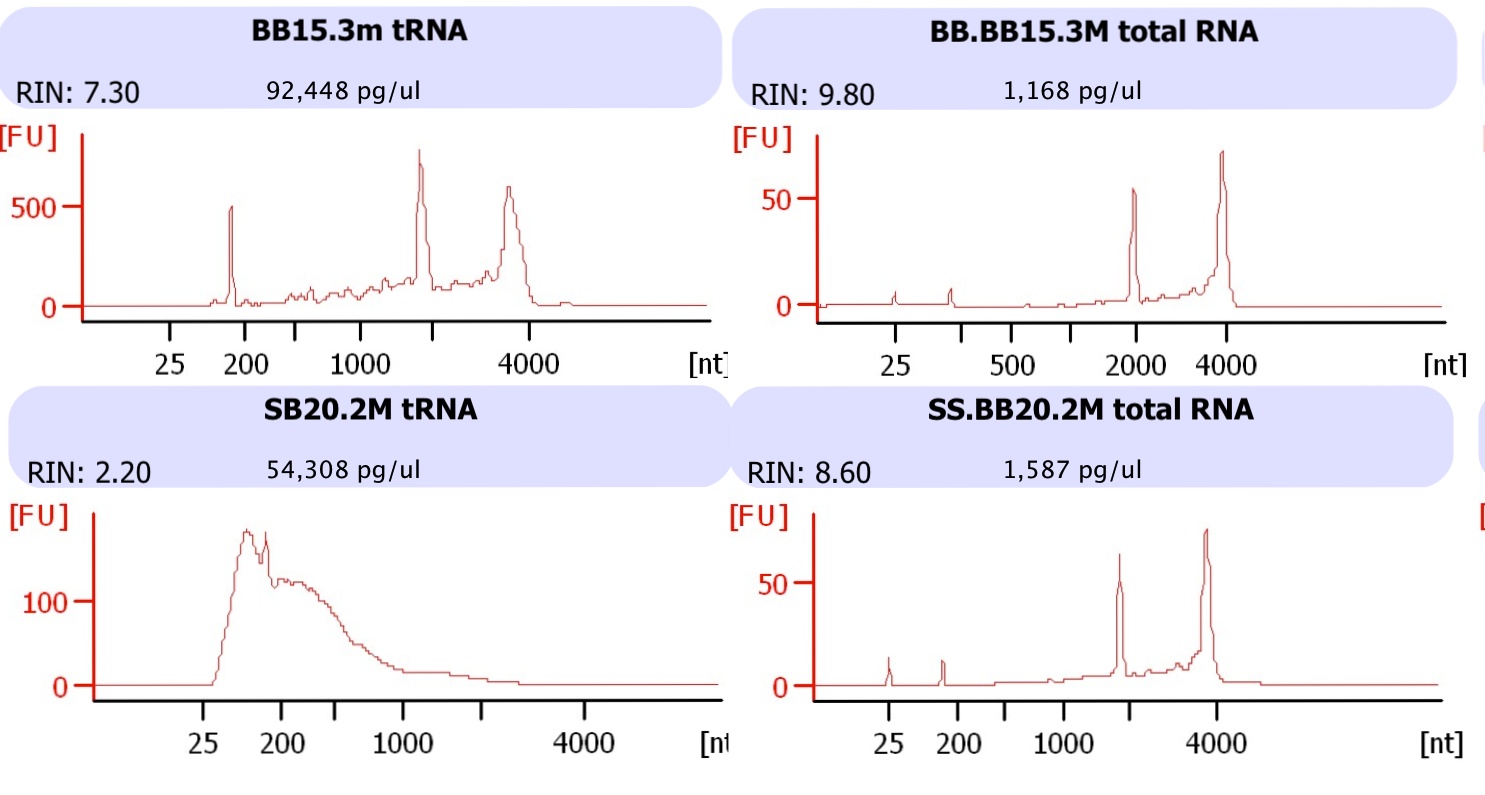 Phodopic Science: RNA extractions and the Bioanalyzer III: the solution