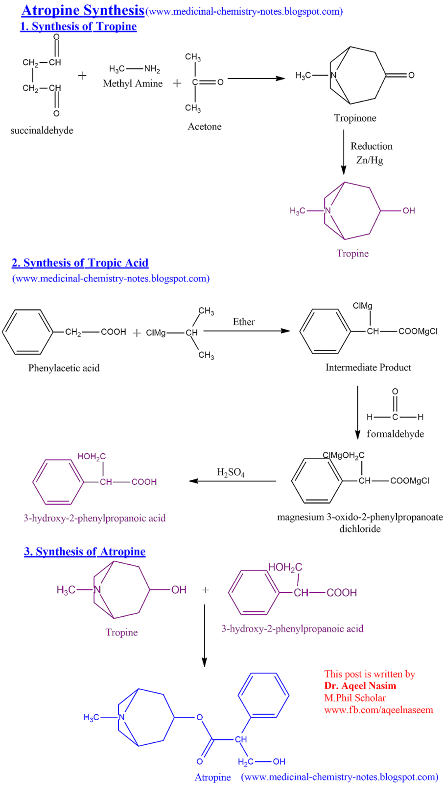 Synthesis of Atropine - Medicinal Chemistry Lectures Notes