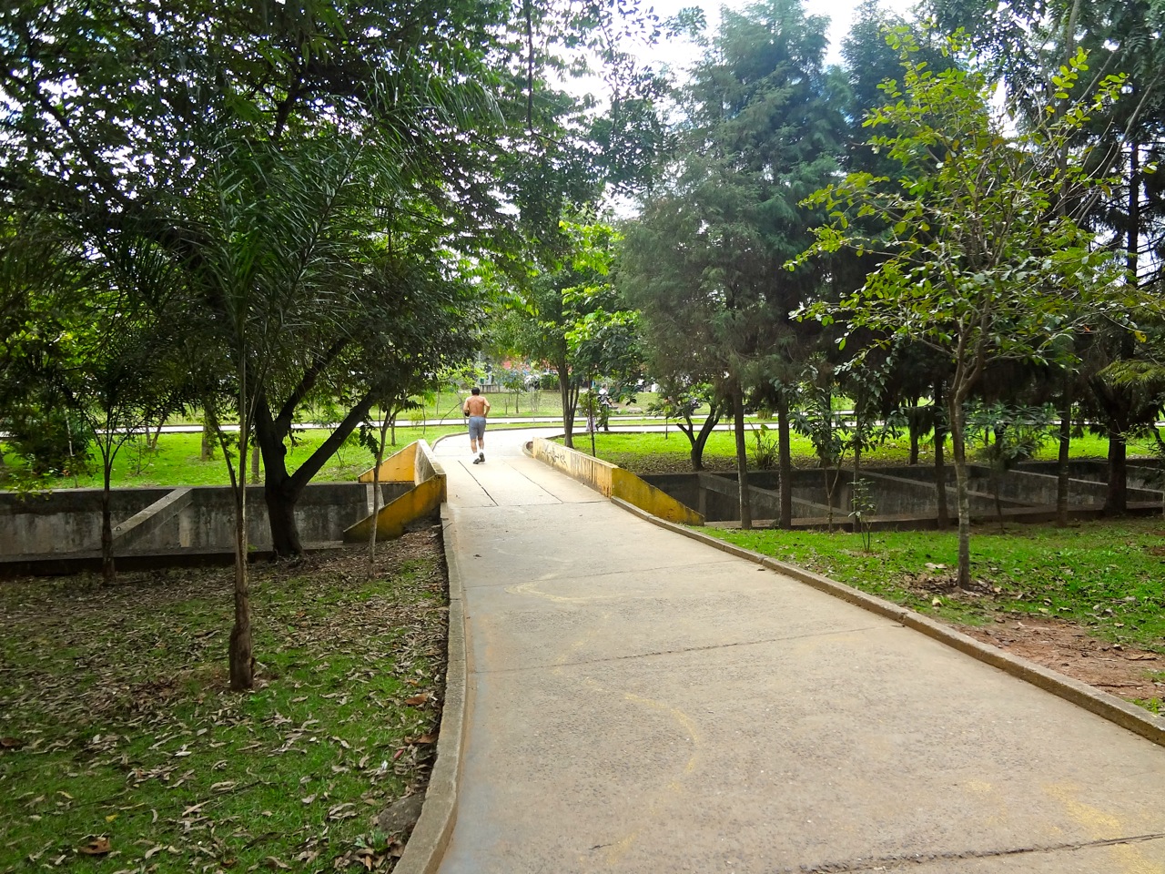 Conheça 4 Parques Lineares em São Paulo que unem lazer e preservação ...