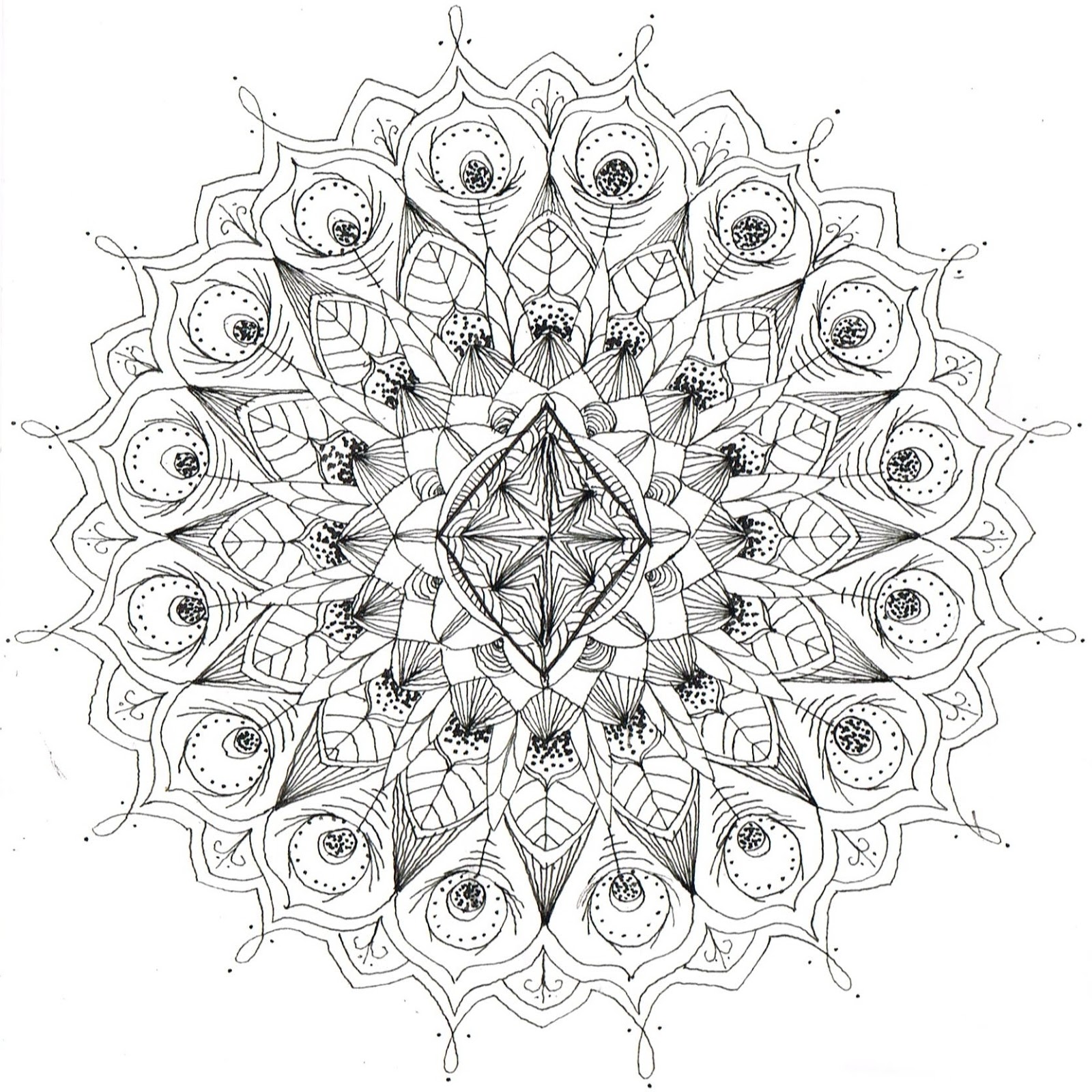 FressK::::::::::::::::: Rosaces