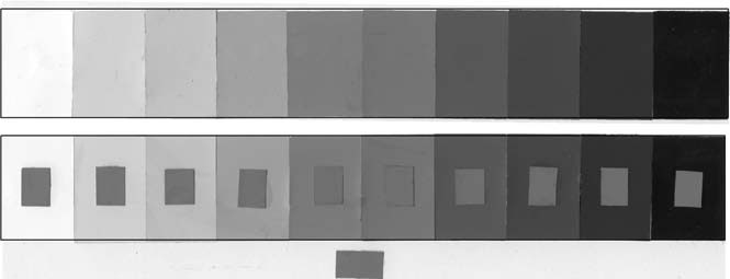 Visual Arts: Value. Light and shade.