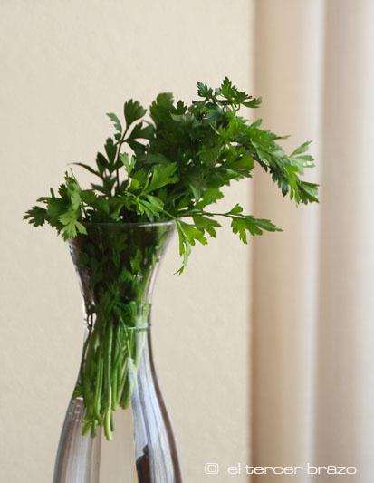 Recetas: ¿Cómo usar el perejil en la cocina?