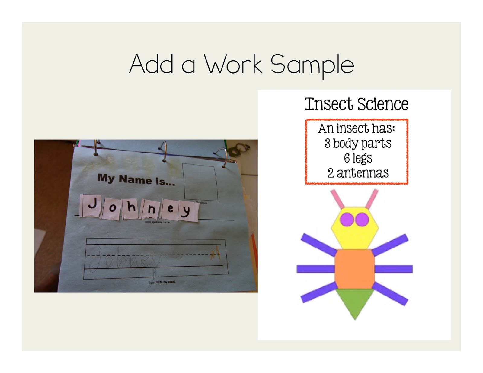 Kindergarten Kiosk: Creating a Kindergarten Portfolio