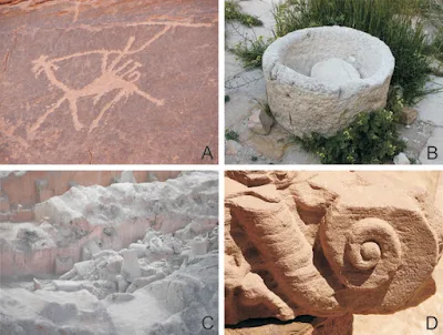 Tahap Pembentukkan Fosil (Fosiliasi) - Guru Geografi