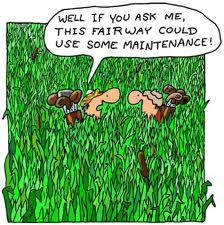 Golf Information: Some Golfing Cartoons