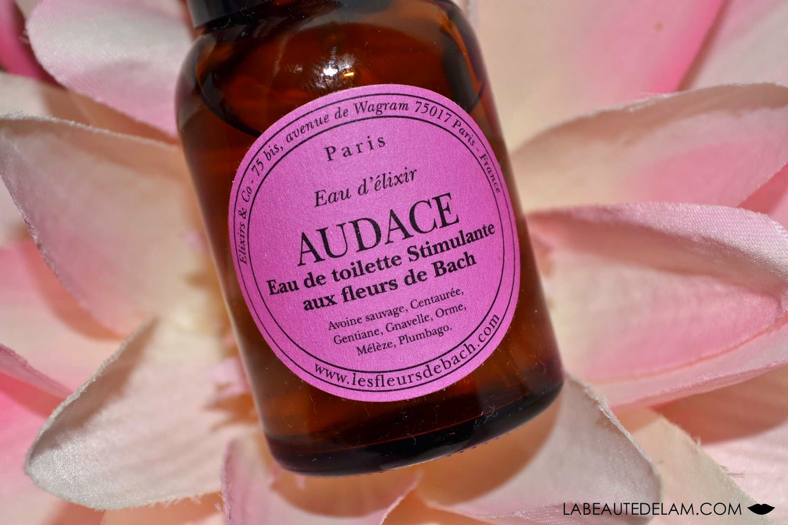 Elixir & Co Les Fleurs de Bach Authentiques : Harmonie & Audace, mes ...