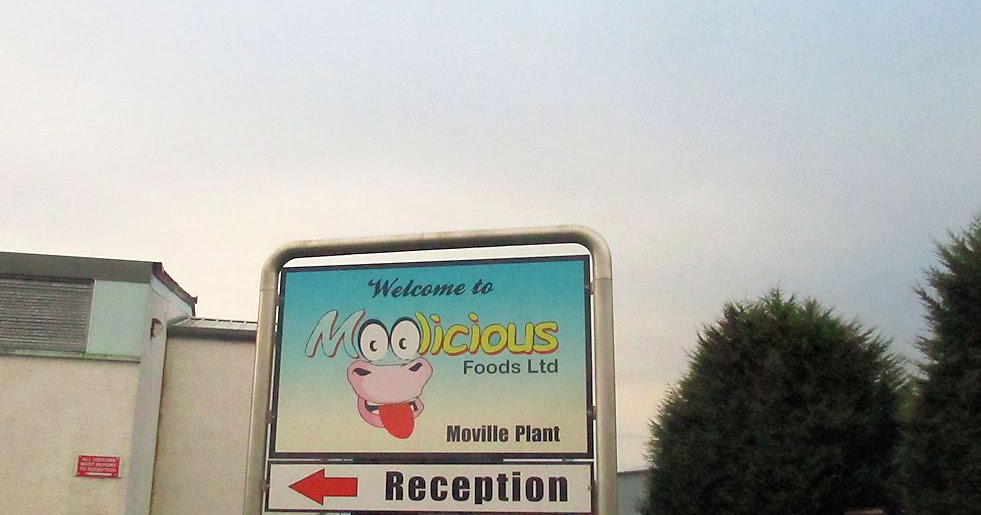 Somewhere in Ireland: moolicious